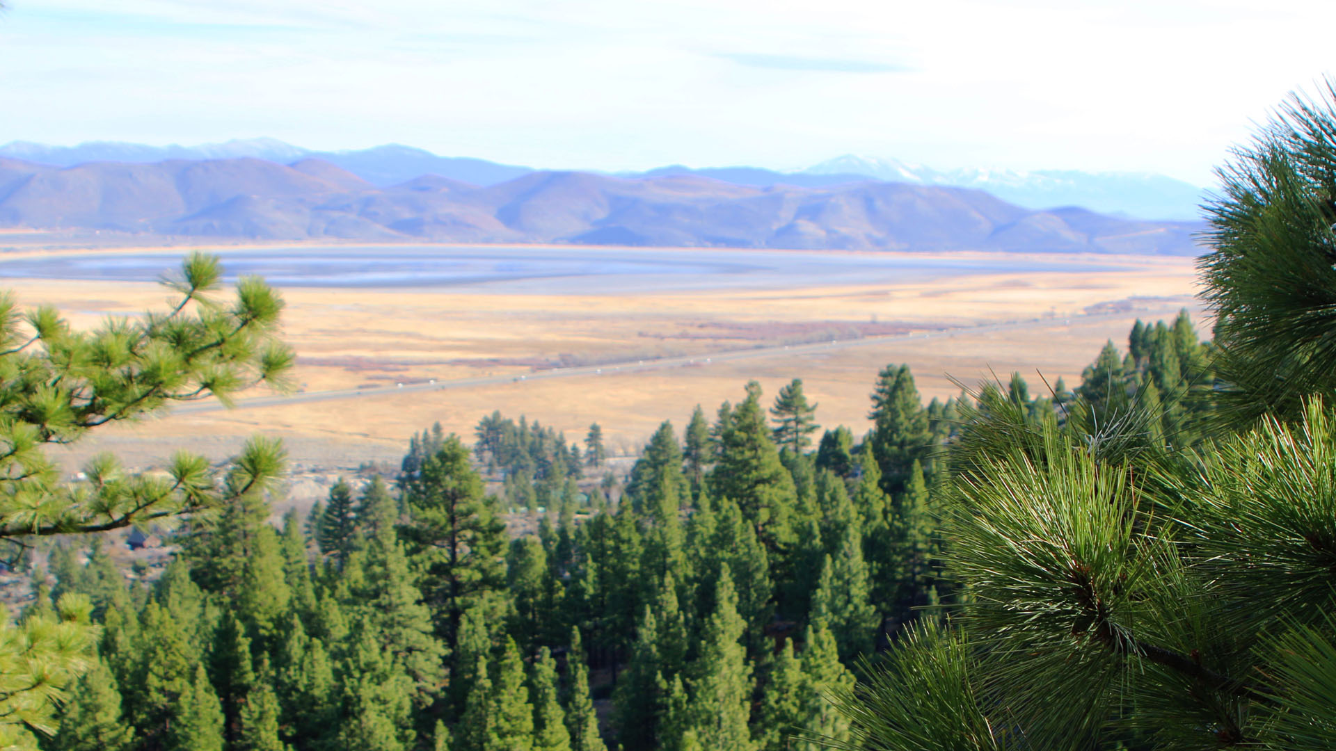 Overlooking Washoe Valley from the West