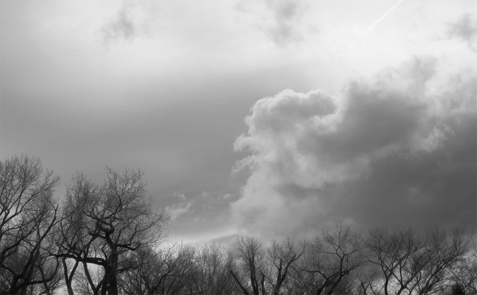 Sky over park in black and white